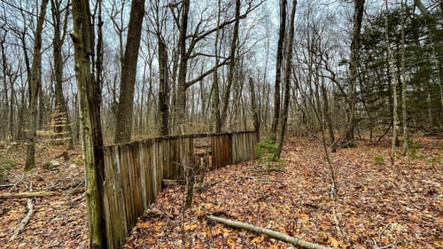 Best Hikes and Trails in Mooween State Park | AllTrails