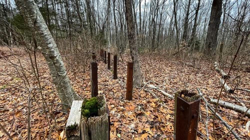 Best Hikes and Trails in Mooween State Park | AllTrails