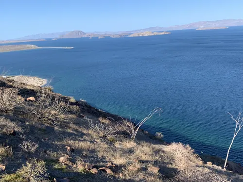 10 Best Trails and Hikes in Bahía de Los Ángeles | AllTrails