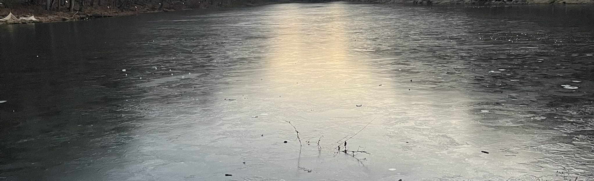 Gedney Park Outer Loop: 154 Reviews, Map - New York | AllTrails