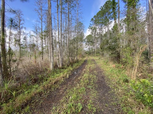 Hilochee Wildlife Management Area: Die besten Routen in 2023 | AllTrails