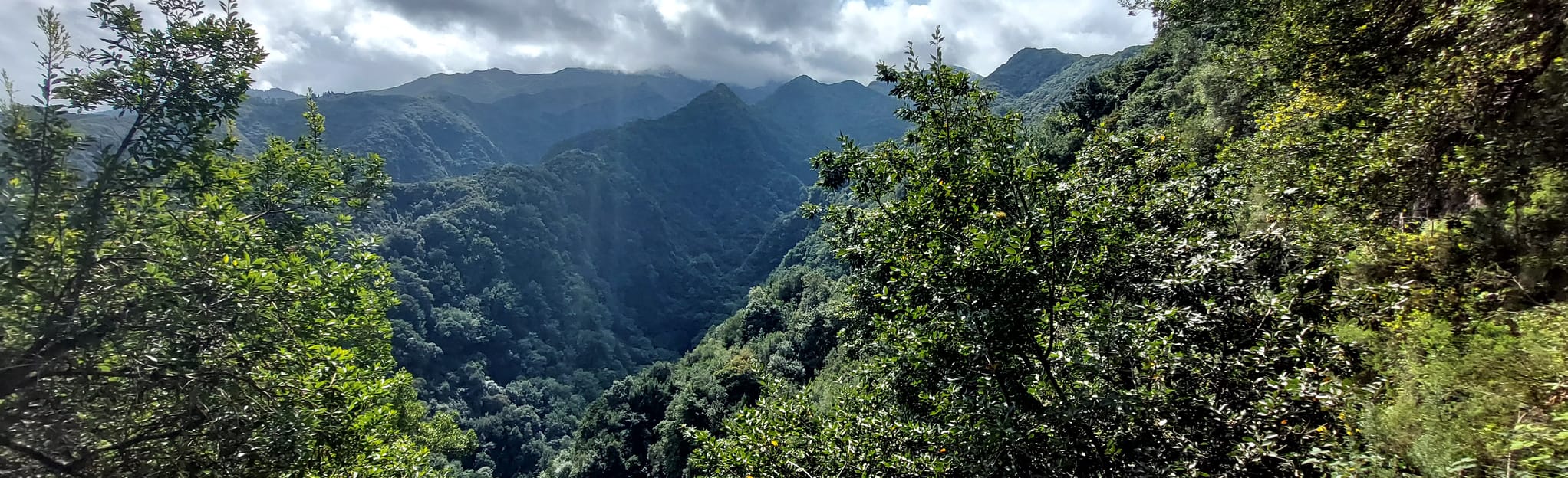 PR18 - Levada do Rei - Caminho dos Cascalhos - Boca das Voltas: 421 ...