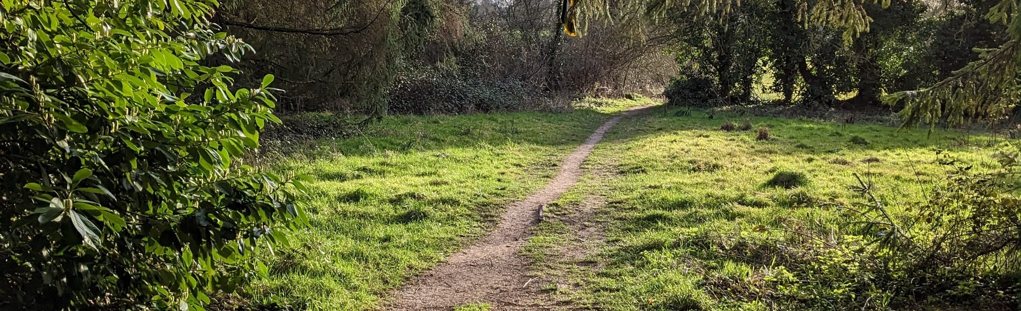 Swardeston - Hethel - Mulbarton Circular : 31 photos - Norfolk ...