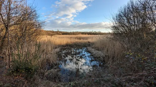 Best Hikes and Trails in Parc Slip Nature Reserve | AllTrails