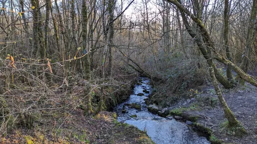 Best Hikes and Trails in Parc Slip Nature Reserve | AllTrails