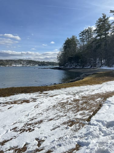 2023 Best Snowshoeing Trails in Walpole | AllTrails