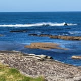 Kilkee Cliff Walk, County Clare, Ireland - 177 Reviews, Map | AllTrails