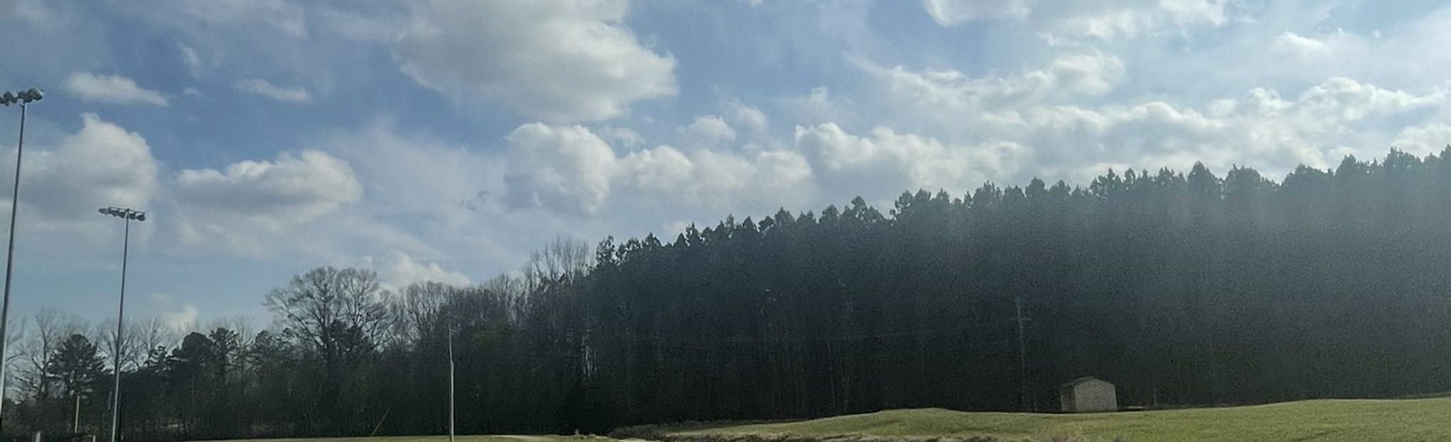 Shiloh Loop: 14 Reviews, Map - Mississippi | AllTrails