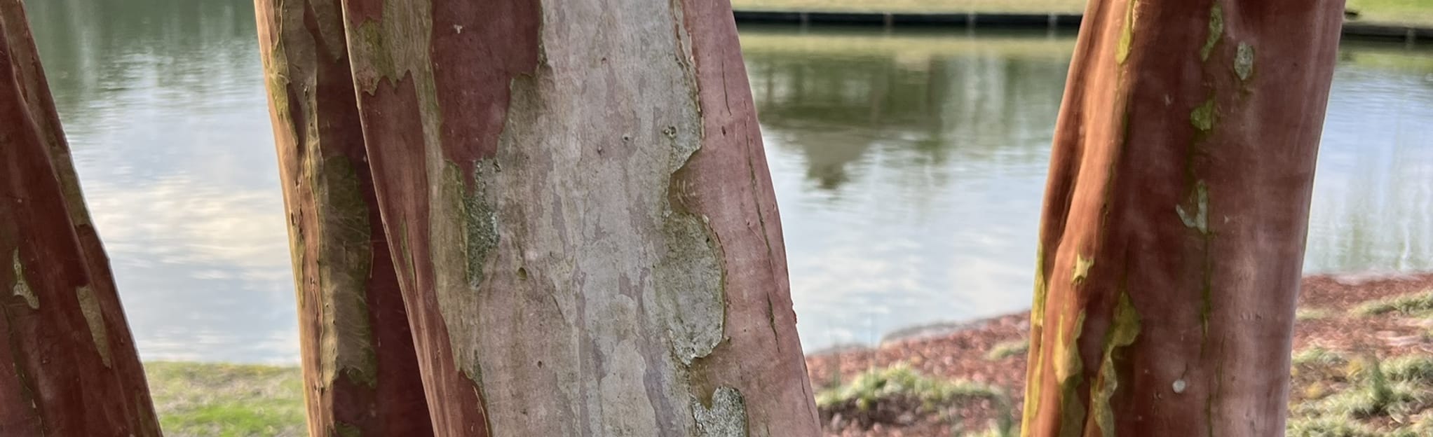 Rocky Mount City Lake Walking Path, North Carolina - 5 Reviews, Map ...