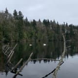 Lake Fenwick, Washington - 613 Reviews, Map | AllTrails