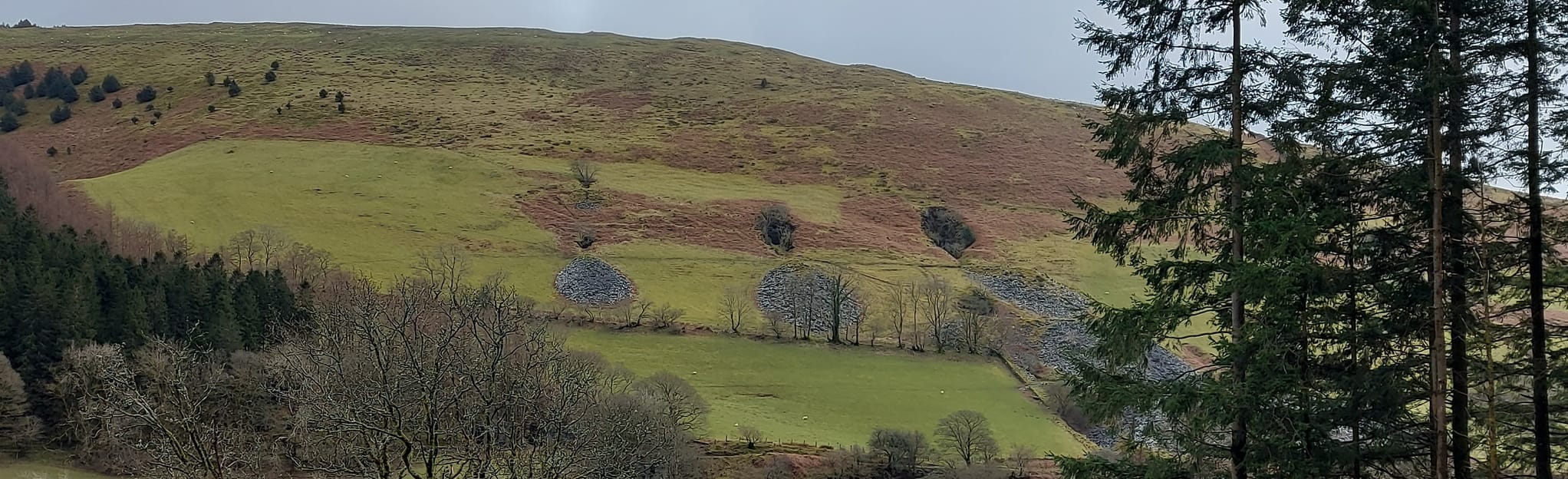 Ratgoed Valley Circular, Powys, Wales - 9 Reviews, Map | AllTrails