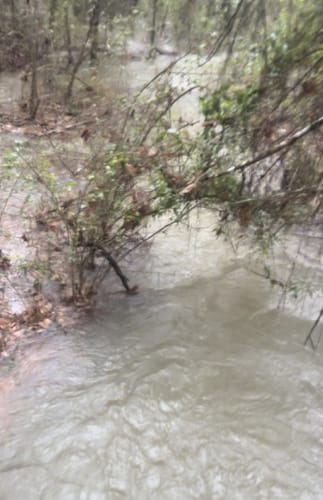 Best Hikes and Trails in Carl Barton Jr Park | AllTrails