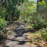 Lota Foreshore Walk via Lota Creek Reserve and Fig Tree Point Park ...