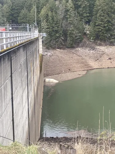 Best Lake Trails in Dorena | AllTrails