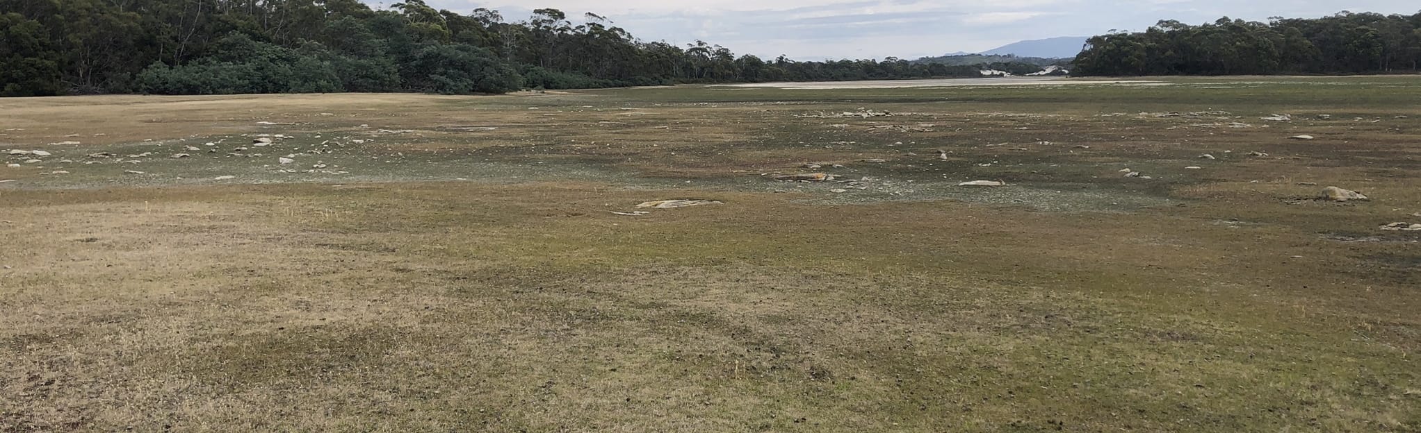 Green Point Track Loop: 24 Reviews, Map - Tasmania, Australia | AllTrails