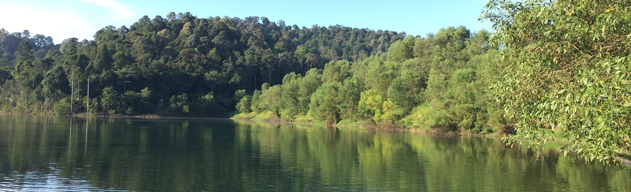 Rimba Bayu Lake, Selangor, Malaysia - 132 Reviews, Map | AllTrails