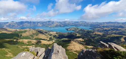 10 Best Trails and Hikes in Akaroa | AllTrails