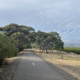 Shiraz Trail, South Australia, Australia - 71 Reviews, Map | AllTrails