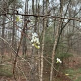 Innsbrook Lakes Trails, Virginia - 252 Reviews, Map | AllTrails