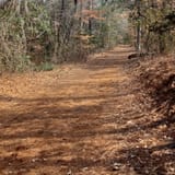 Cape Henry Trail, Virginia - 602 Reviews, Map | AllTrails