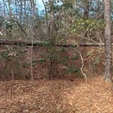 Cape Henry Trail, Virginia - 602 Reviews, Map | AllTrails