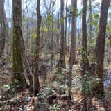 Cape Henry Trail, Virginia - 602 Reviews, Map | AllTrails