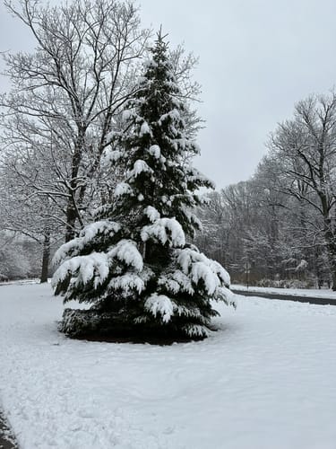 Best Hikes and Trails in Van Saun County Park | AllTrails