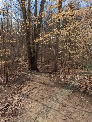 Best Hikes and Trails in Boone's Cave Park | AllTrails