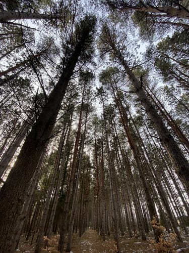 Best Hikes and Trails in Meridian County Park | AllTrails