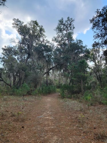 Best Hikes and Trails in Guale Preserve | AllTrails