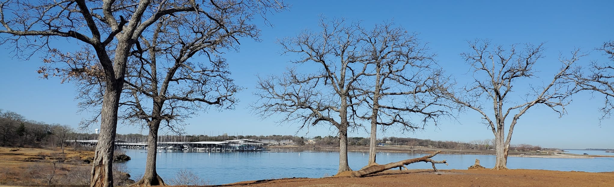Katie's Woods Perimeter Loop: 47 Reviews, Map - Texas | AllTrails