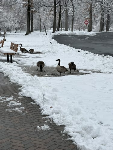 Best Hikes and Trails in Van Saun County Park | AllTrails