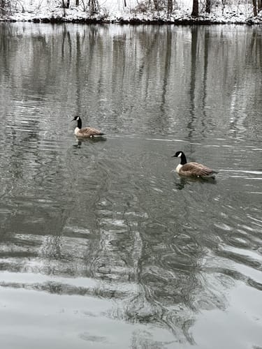 Best Hikes and Trails in Van Saun County Park | AllTrails