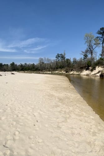 Best Hikes and Trails in Carter Park | AllTrails