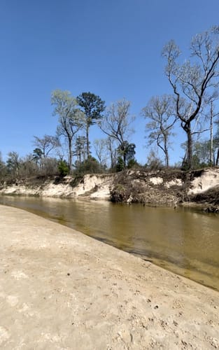 Best Hikes and Trails in Carter Park | AllTrails