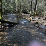 Jarrard Gap, Slaughter Creek, and Appalachian Trail Loop, Georgia - 380 ...
