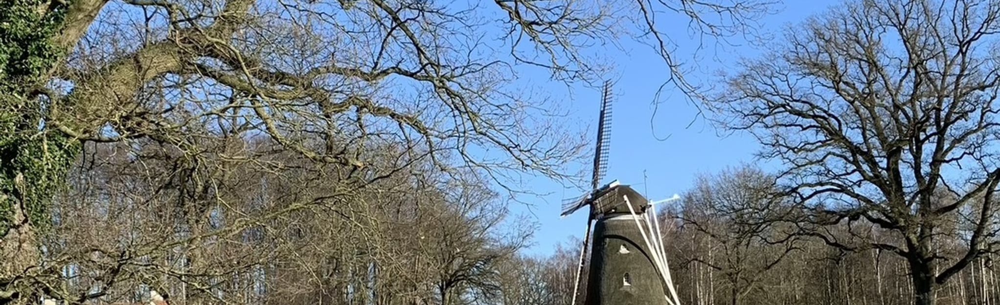 Lonneker Rode Wandelroute: 7 foto's - Overijssel, Nederland | AllTrails