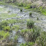 Levee Trail, Florida - 154 Reviews, Map | AllTrails