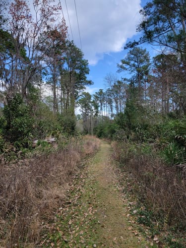 Best Hikes and Trails in Guale Preserve | AllTrails