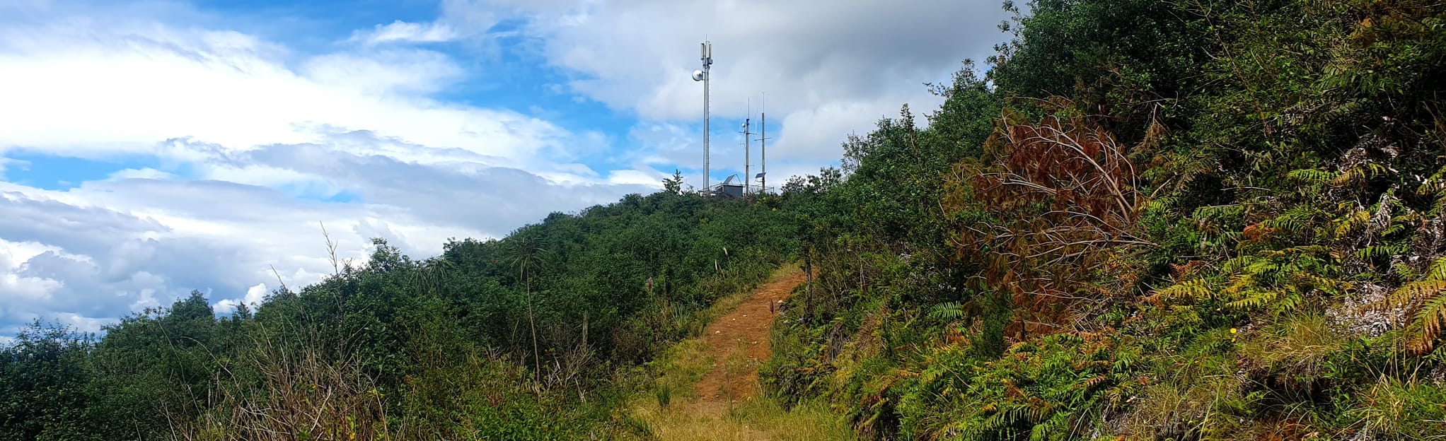 Repeater Tower Lookout Equestrian Track: 1 Reviews, Map - Bay of Plenty ...