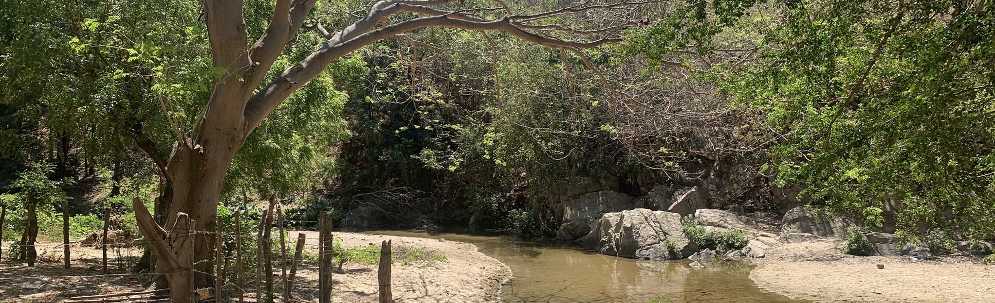 Bajos de Chila: 3 Fotos - Oaxaca, Mexiko | AllTrails