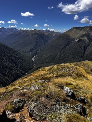 Best 10 Hikes and Trails in Lewis Pass Scenic Reserve | AllTrails