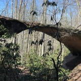 Hazard Cave and Natural Bridge Trail, Tennessee - 322 Reviews, Map ...