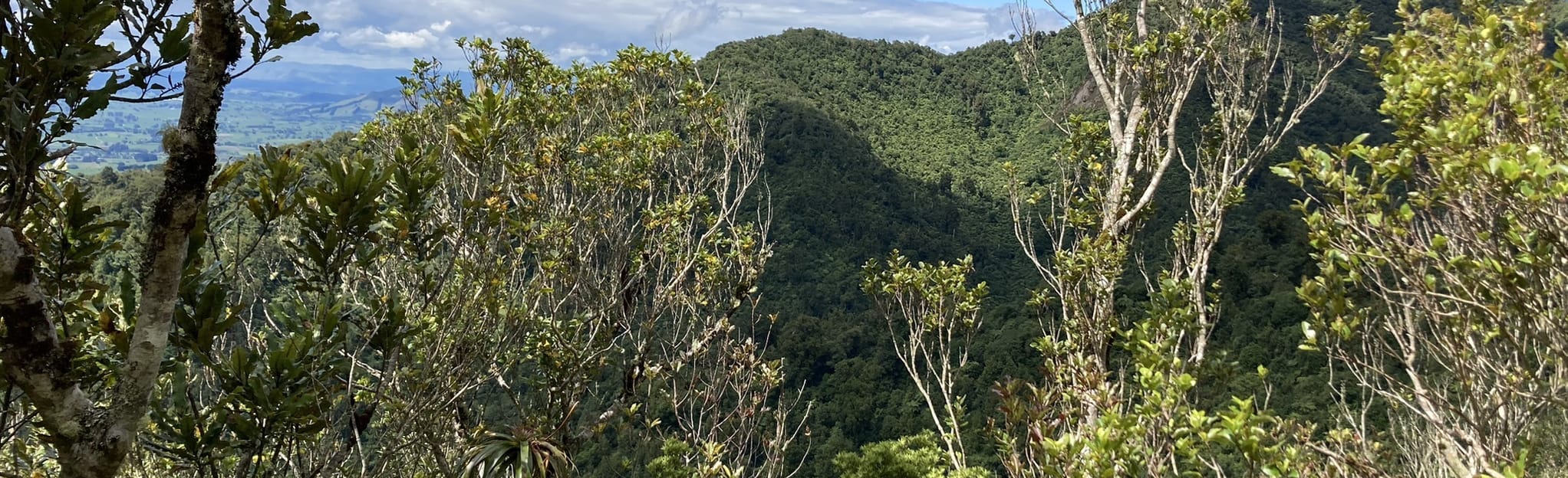 Mount Pirongia via Tirohanga and Mahaukura Track : 122 Reviews, Map ...