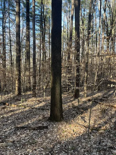 Best Bird Watching Trails in Paoli | AllTrails