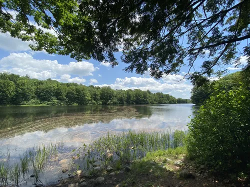 2023 Best River Trails in Springvale | AllTrails