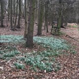 Wormit Circular, Fife, Scotland - 28 Reviews, Map | AllTrails