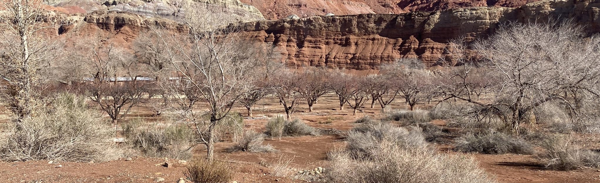 Lonely Dell Ranch Historic Site: 76 Reviews, Map - Arizona | AllTrails
