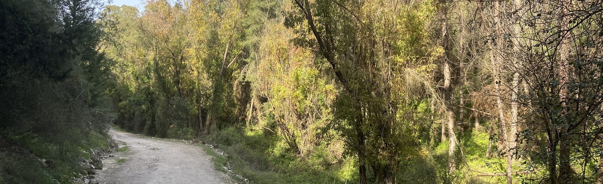 Megiddo Forest and Nahal Midrach Loop, Northern District HaZafon ...