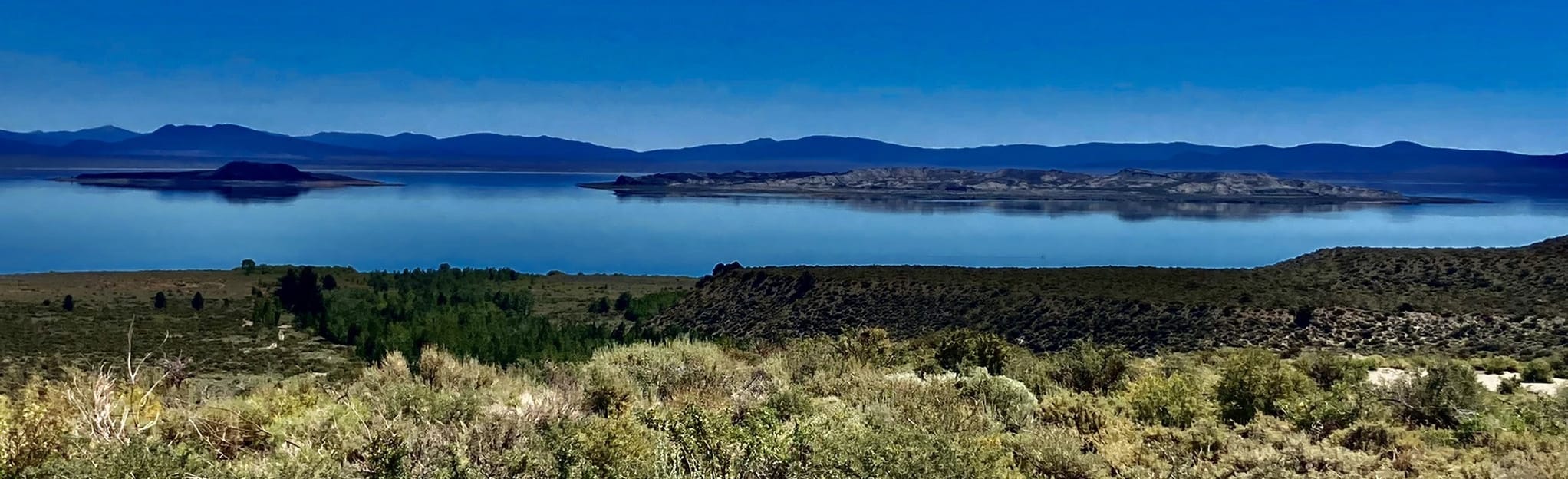 Lee Vining Creek Trail | Map, Guide - California | AllTrails